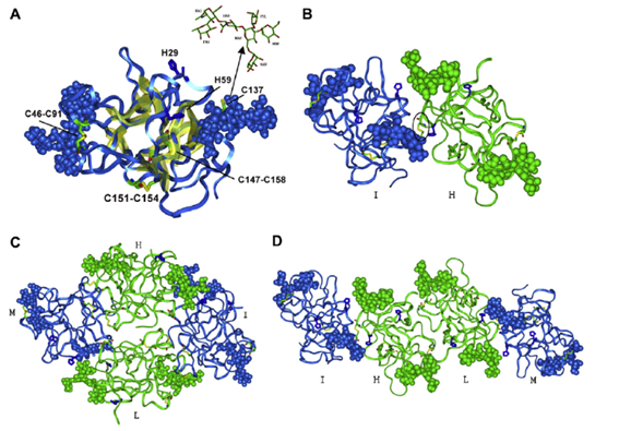 [화학] 생화학/미각변형물질/미라클베리/메커니즘/활용방안 : 네이버 블로그