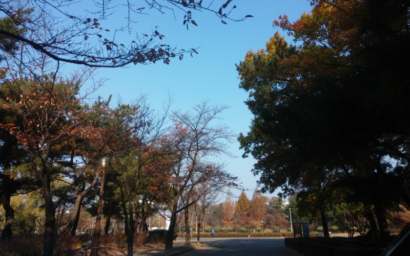 경산대임 공공주택지구 지정 주민 의견 청취 공고 보상계획 토지보상 영업보상 생활대책 지장물 이전비 수용재결