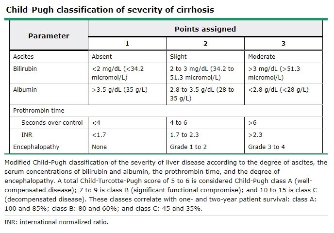 차일드 푸 분류, Child-Pugh classification : 네이버 블로그