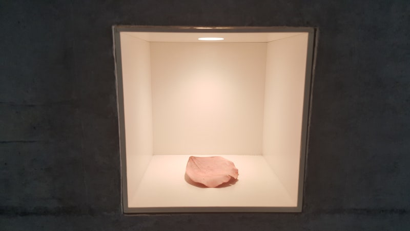 나오시마 이에프로젝트(Art House Project) - Ishibashi, Gokaisho, Kinza, Haisha ...