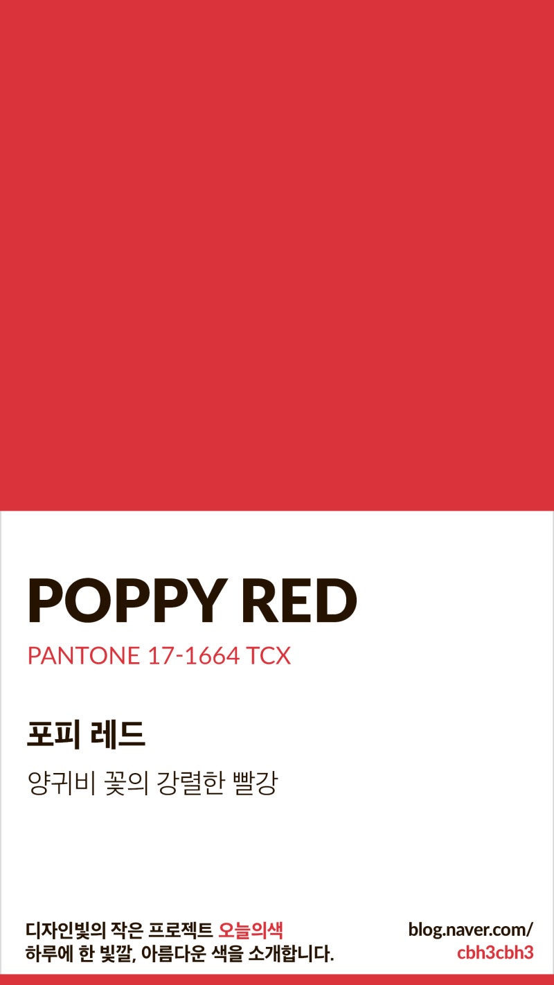 [오늘의 빛: 오늘의 색] 포피 레드 : 네이버 블로그