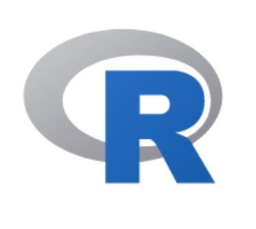 R프로그래밍 결측치가 있는 행을 모두 삭제 na.omit() : 네이버 블로그