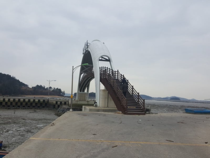 목포 무안 맛집 갯벌 낙지 탕탕이 And 숭어회 한진수산에서 드세요 Aka 진정한 숨은 맛집 네이버 블로그