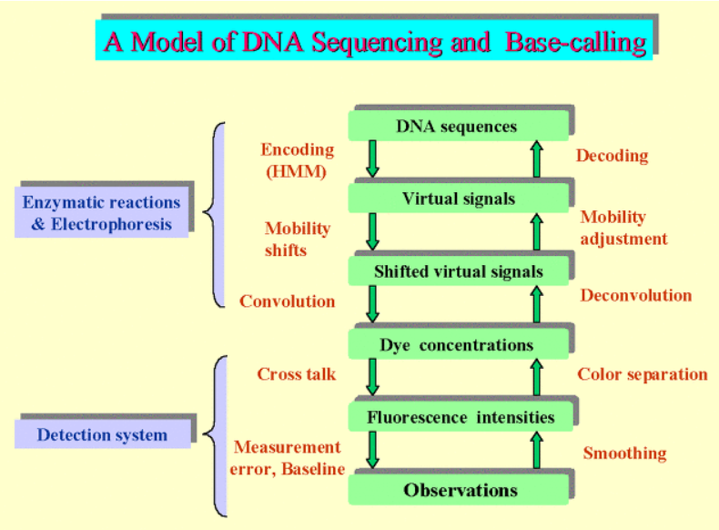 Base-Calling : 네이버 블로그