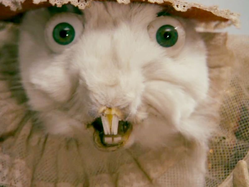 초현실주의 애니메이션의 대가 얀 슈반크마예르의, 앨리스 (Alice - Neco z Alenky, 1988) 캡쳐 : 네이버 블로그