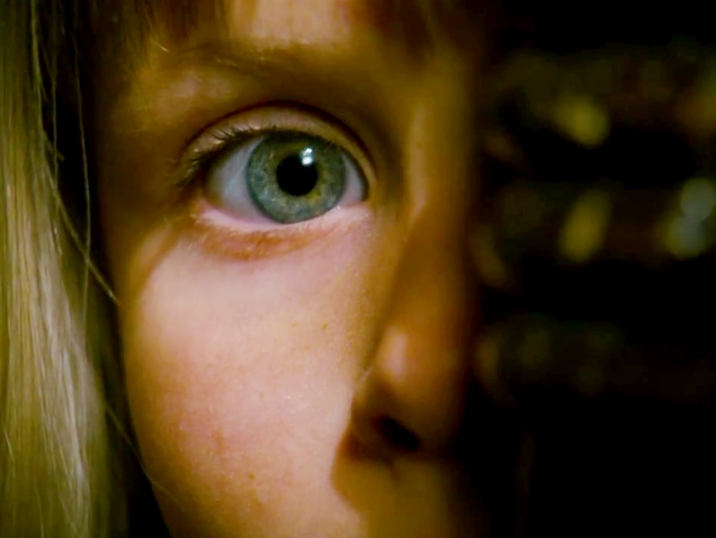 초현실주의 애니메이션의 대가 얀 슈반크마예르의, 앨리스 (Alice - Neco z Alenky, 1988) 캡쳐 : 네이버 블로그