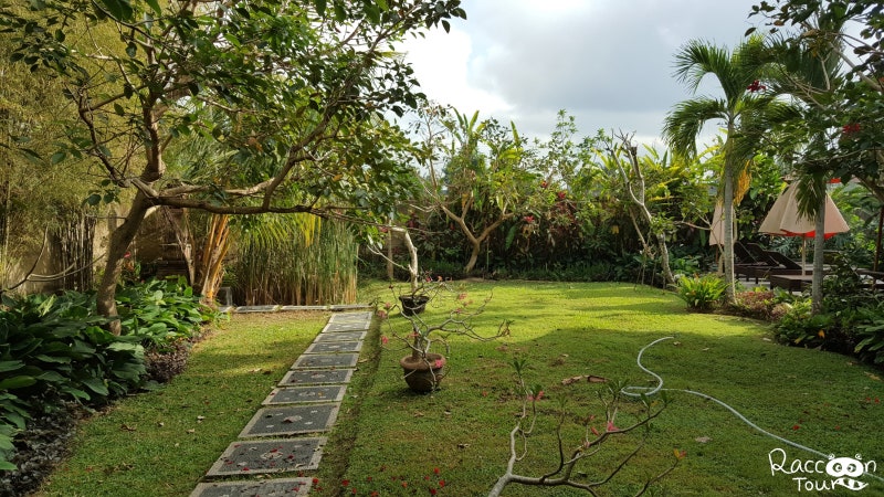 [발리] 숙소 - 사린 우붓 스위트 (Sarin Ubud Suites) : 네이버 블로그