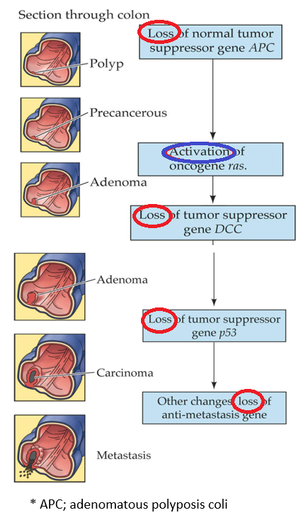Multiple Hit Theory : 네이버 블로그