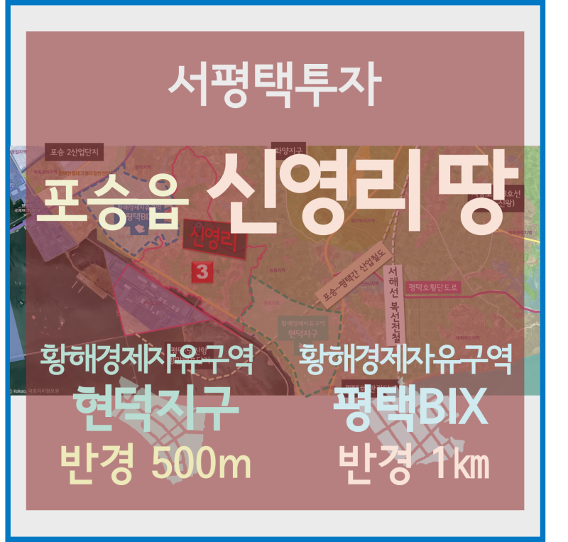 서평택땅 포승읍 신영리땅 서평택투자 황해경제자유구역 현덕지구 평택bix舊 포승지구 영향받을 수밖에 없는 신영리