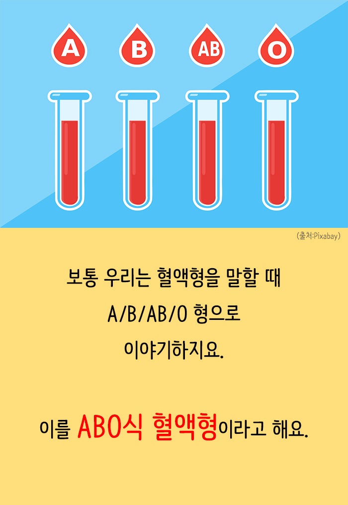 우리나라의 희귀 혈액형, cis-AB형 : 네이버 블로그