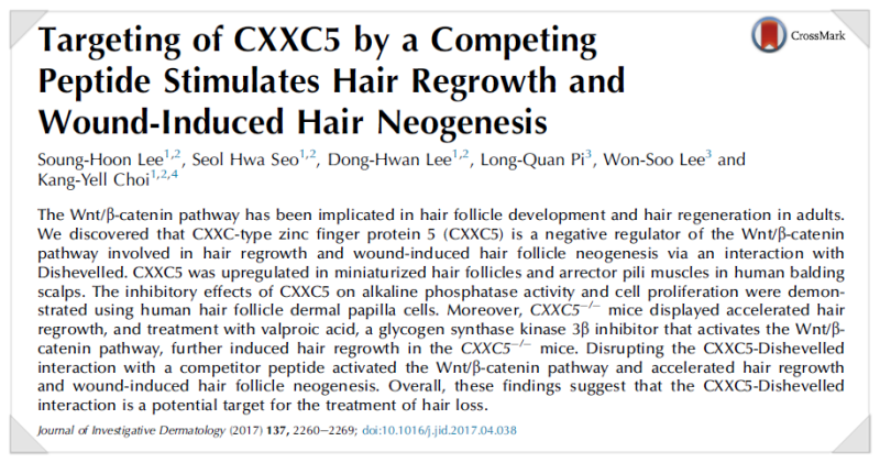 탈모에서 신약의 가능성은? (Samumed SM04554, PTD-DBM) : 네이버 블로그