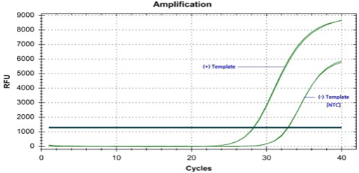 3. Real Time PCR(probe, melting curve) : 네이버 블로그