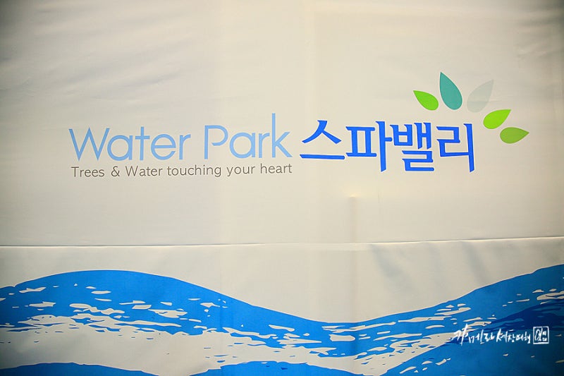 대구스파밸리겨울여행갑 워터파크대구가볼만한곳 추천 네이버 블로그