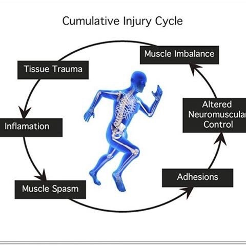 [트레이닝][천안pt] SMR의 방법과 이점 /100body : 네이버 블로그
