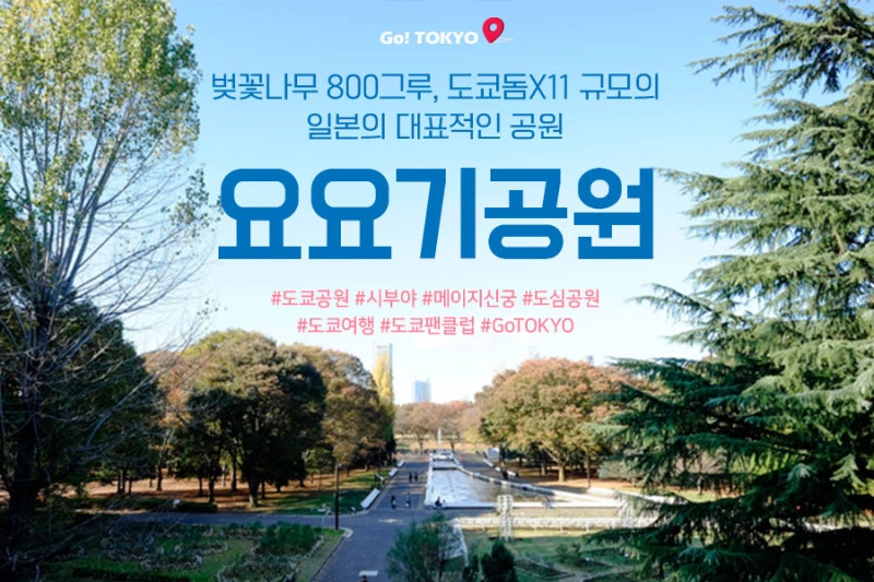 벚꽃나무 800그루 도쿄돔x11규모의 일본 대표적 공원 요요기공원 네이버 블로그