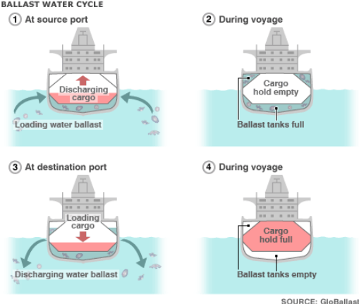 [ NFLOW | CFD 해석 사례 ] 선박평형을 책임지는 배관, 'Deballasting System' 내 배수 흐름 해석 ...