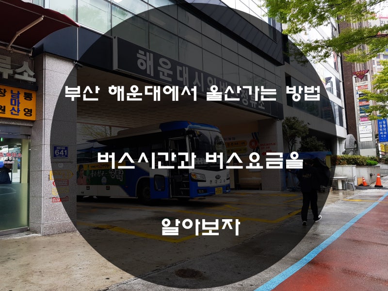 부산해운대에서 울산 가는방법과 직통버스시간 장산역탑승위치공업탑하차위치 네이버 블로그