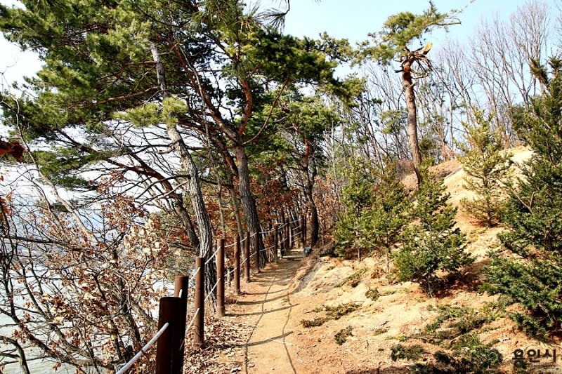 용인 둘레길 용인 용담 태교 둘레길에서 봄 산책 즐기기~ 네이버 블로그