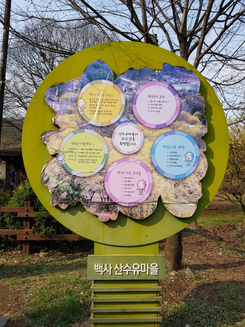 이천백사 산수유마을 당일 여행~ 네이버 블로그