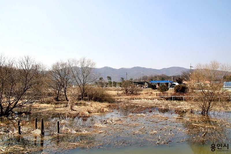 용인 둘레길 용인 용담 태교 둘레길에서 봄 산책 즐기기~ 네이버 블로그