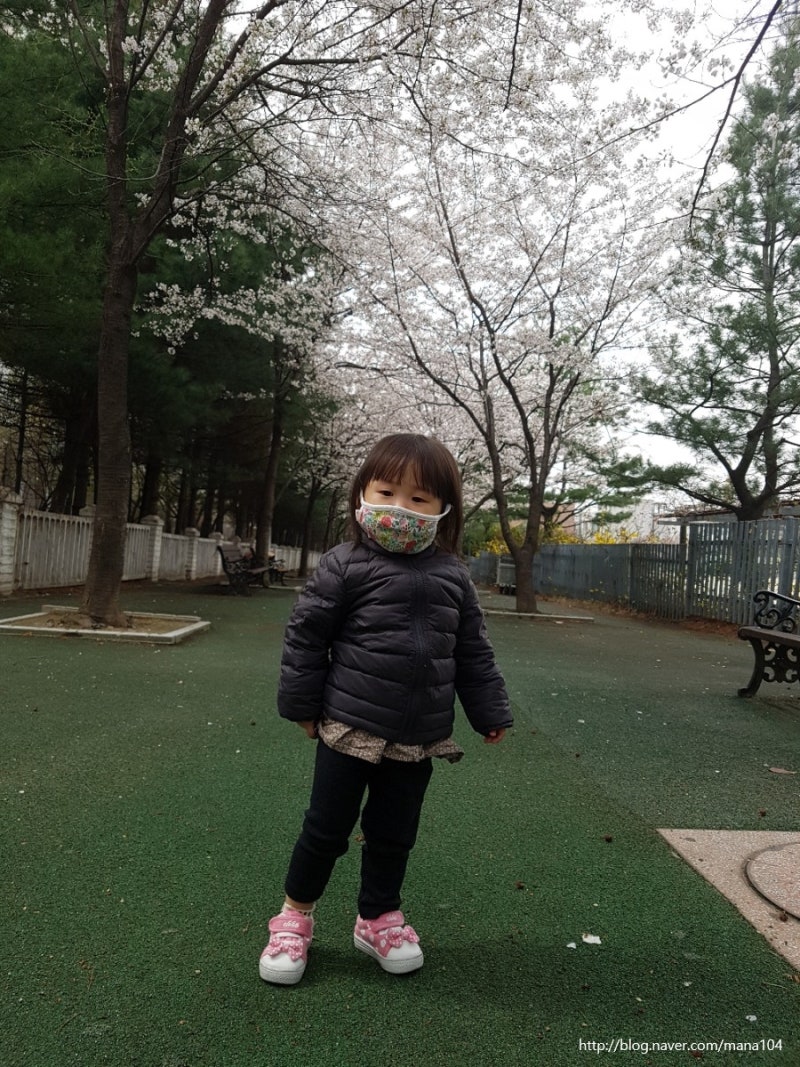 롯데마트 문화센터 봄학기 오감쑥쑥 베베플레이쿡 6주차 토끼와 당근 22개월 아기 문센 678일
