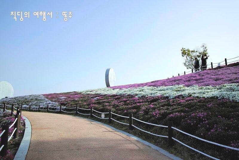 산청 가볼만한곳 생초국제조각공원 꽃잔디축제 네이버 블로그