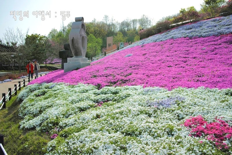 산청 가볼만한곳 생초국제조각공원 꽃잔디축제 네이버 블로그
