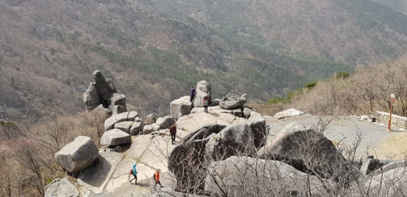 100대 명산 묵언수행(74)/달성 비슬산(琵瑟山) : 네이버 블로그