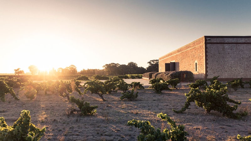 The Standish Wine Company, The Relic Shiraz-Viognier, Barossa Valley ...