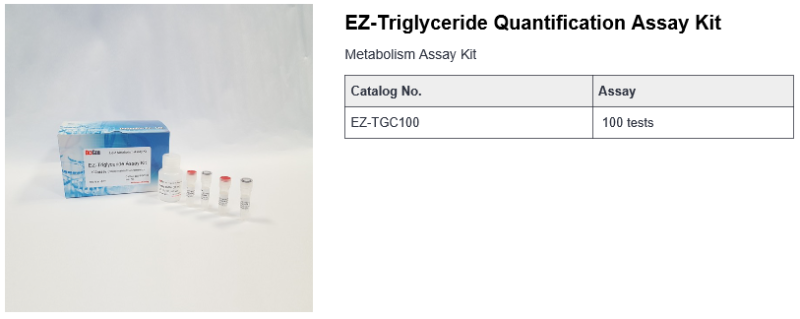 EZ-Triglyceride Quantification Assay Kit(Metabolism Assay Kit ) - 웰바이오 ...