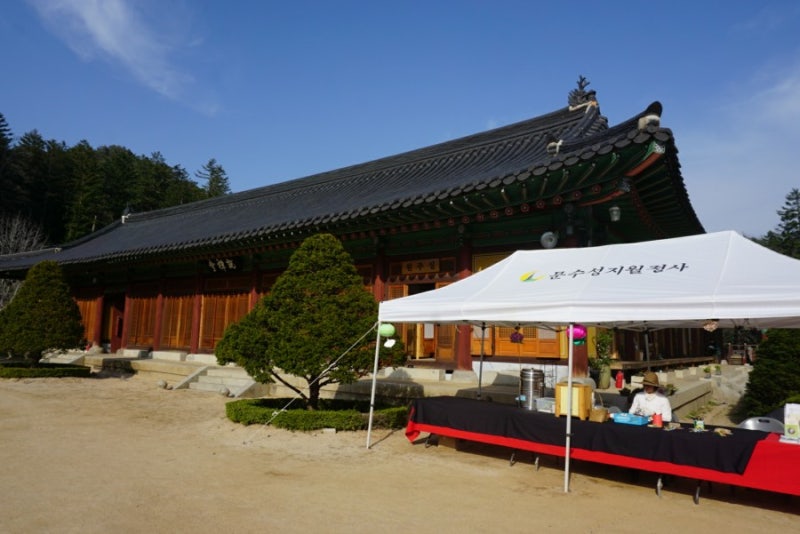 평창 아기랑 가볼만한 곳 :: 오대산 월정사 전나무숲, 유모차 ok : 네이버 블로그