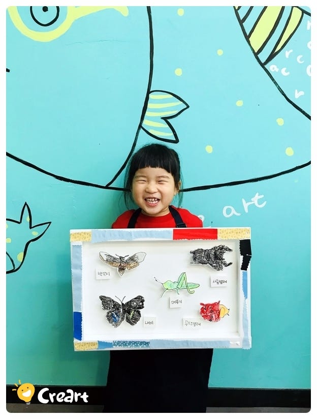 Klein 6·7세 수업 곤충표본 시흥시 정왕동 배곧 미술학원 창의미술 크리아트 네이버 블로그