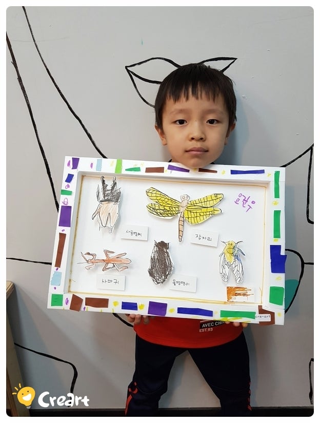 Klein 6·7세 수업 곤충표본 시흥시 정왕동 배곧 미술학원 창의미술 크리아트 네이버 블로그