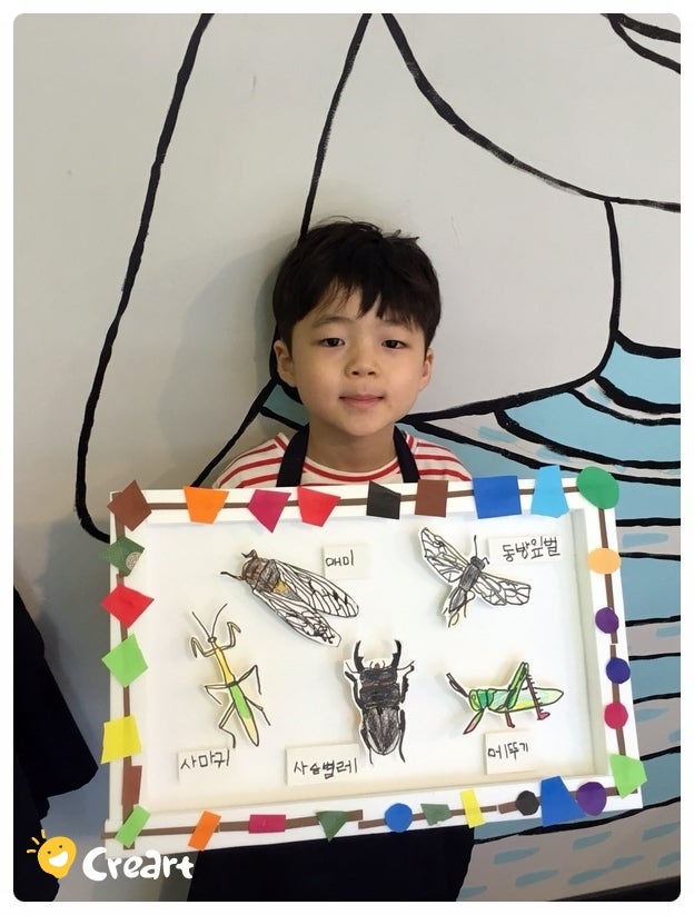 Klein 6·7세 수업 곤충표본 시흥시 정왕동 배곧 미술학원 창의미술 크리아트 네이버 블로그