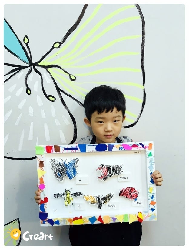 Klein 6·7세 수업 곤충표본 시흥시 정왕동 배곧 미술학원 창의미술 크리아트 네이버 블로그