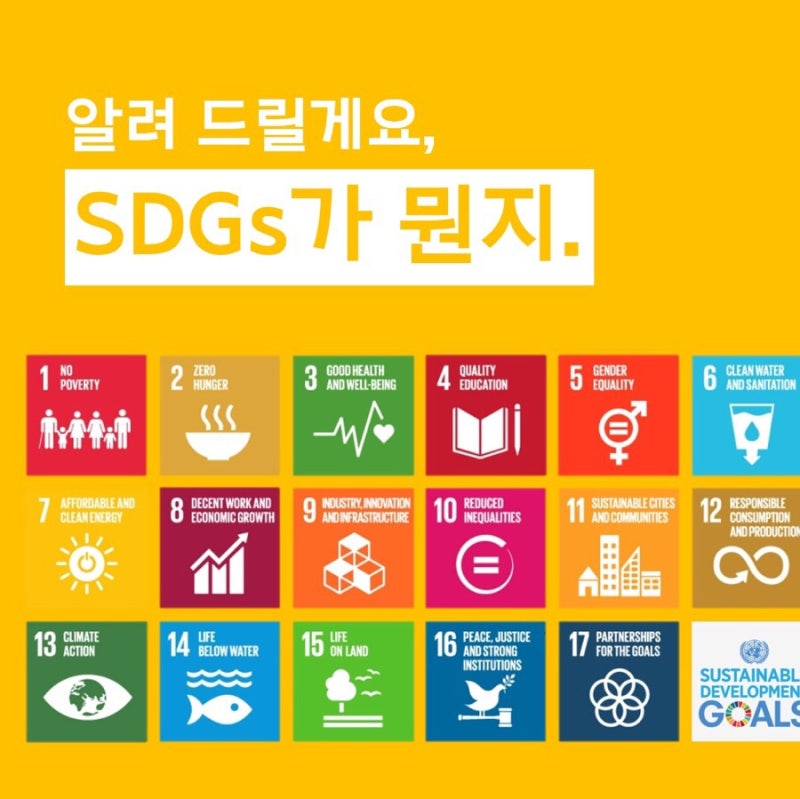 [SDGs] SDGs, 지속가능 발전 목표가 뭘까? : 네이버 블로그