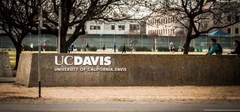 UC 데이비스 편입 합격 / UC DAVIS 편입 합격 / UCD 편입합격증 / UC 데이비스 편입학 / UC Davis 편입 ...