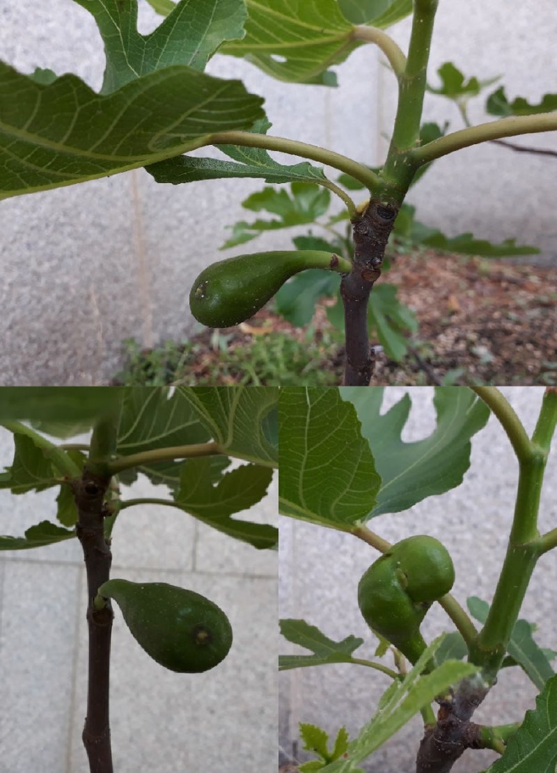 BREBA GO GO~! : 네이버 블로그