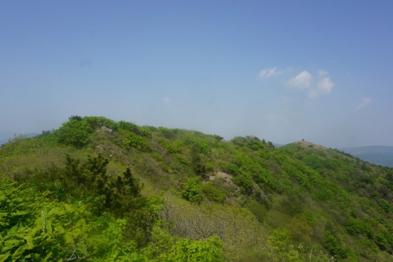 보성순천 제석산 산행코스순천 동화사 벌교 태백산맥문학관 네이버 블로그