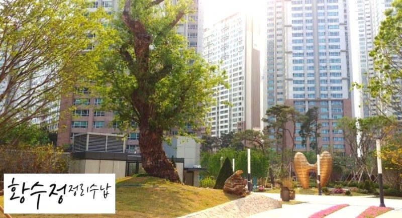 부산정리수납 용호동 W 주상복합아파트 C동 부산입주주방정리 부산입주냉장고정리 부산이사정리 황수정정리수납 부산정리정돈 부산집
