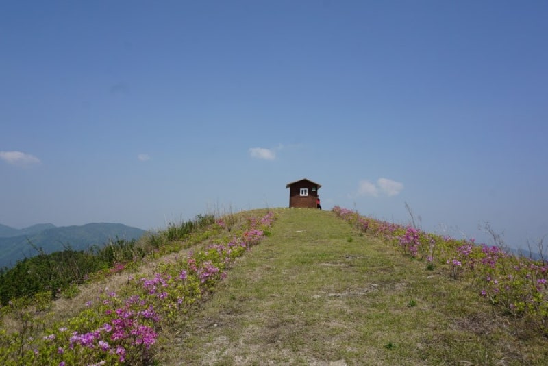 보성순천 제석산 산행코스순천 동화사 벌교 태백산맥문학관 네이버 블로그