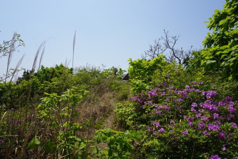 보성순천 제석산 산행코스순천 동화사 벌교 태백산맥문학관 네이버 블로그