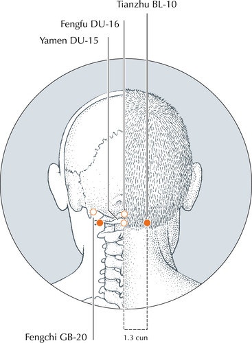 족태양방광경 Bladder Channel of Foot Taiyang : 네이버 블로그