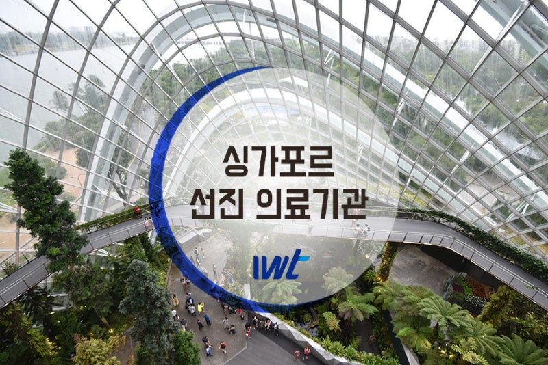 싱가포르 선진 의료기관 해외연수 최고위자과정 프로그램 연수 글로벌 해외연수 프로그램 공무원 해외연수 우수직원 해외연수