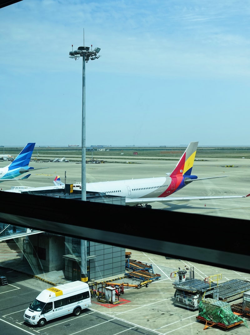 상해상하이 푸동국제공항 제 2터미널t2 아시아나항공asiana Oz 韩亚航空 B 탑승 수속 카운터 찾아가는 방법