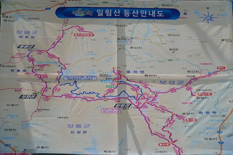 보성 사자산 철쭉산행 666m 용추계곡 보성 제암산 자연휴양림 네이버 블로그
