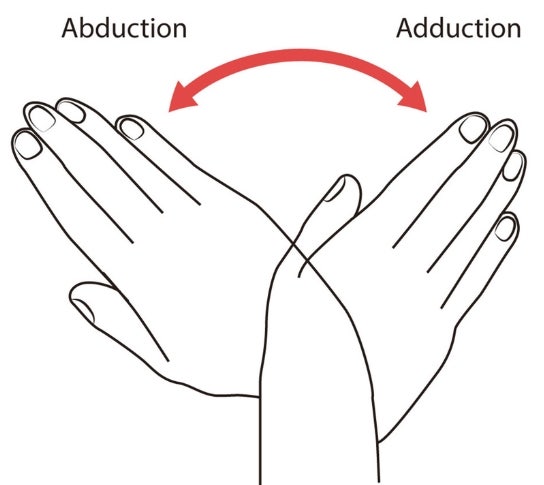 Anatomy, introduction : 네이버 블로그
