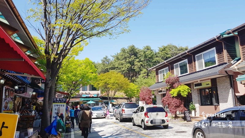 예산 수덕사맛집 한일식당 더덕구이산채비빔밥 넉넉한인심 푸짐한밥상 네이버 블로그