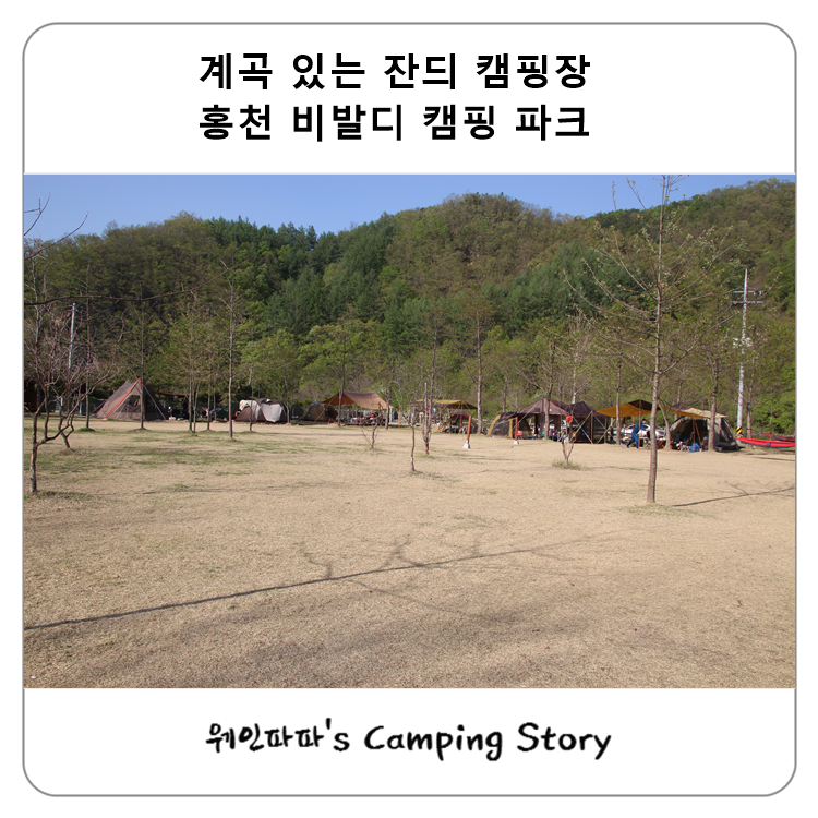 계곡 있는 잔듸 캠핑장 홍천 비발디 캠핑 파크 네이버 블로그