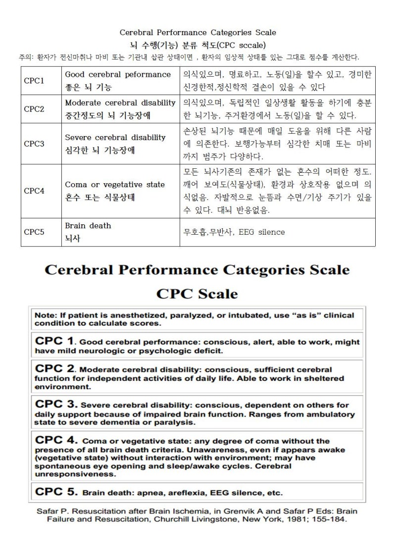 Cerebral Performance Categories Scale(CPC Scale, CPC score, CPC점수, 씨피씨 ...